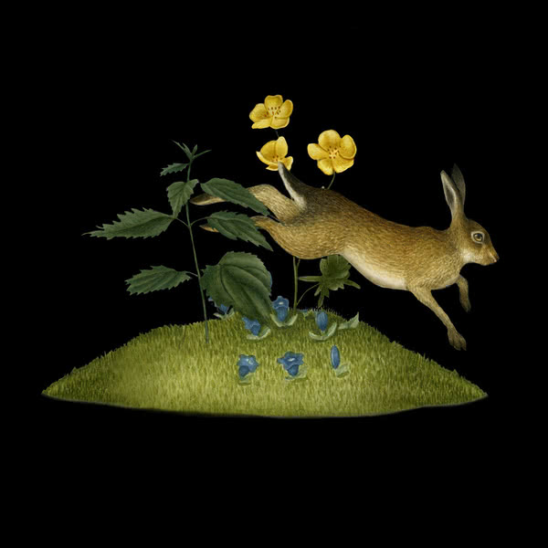 Kate Young, Kate in the Kettle