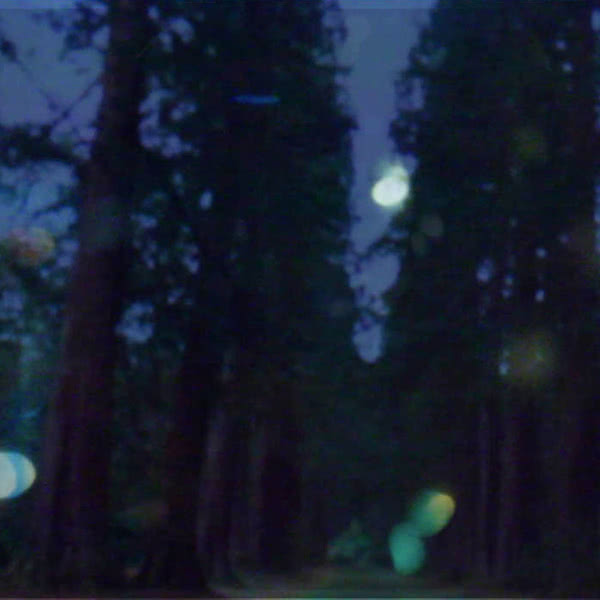 Kate Young, Kate in the Kettle